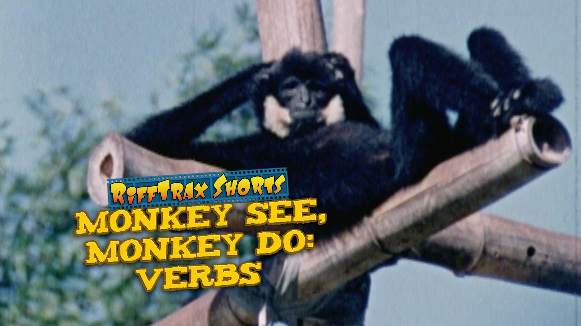 Monkey See, Monkey Do: Verbs | Nebula