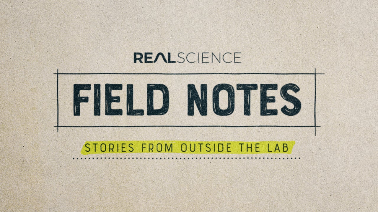Field Notes | Nebula