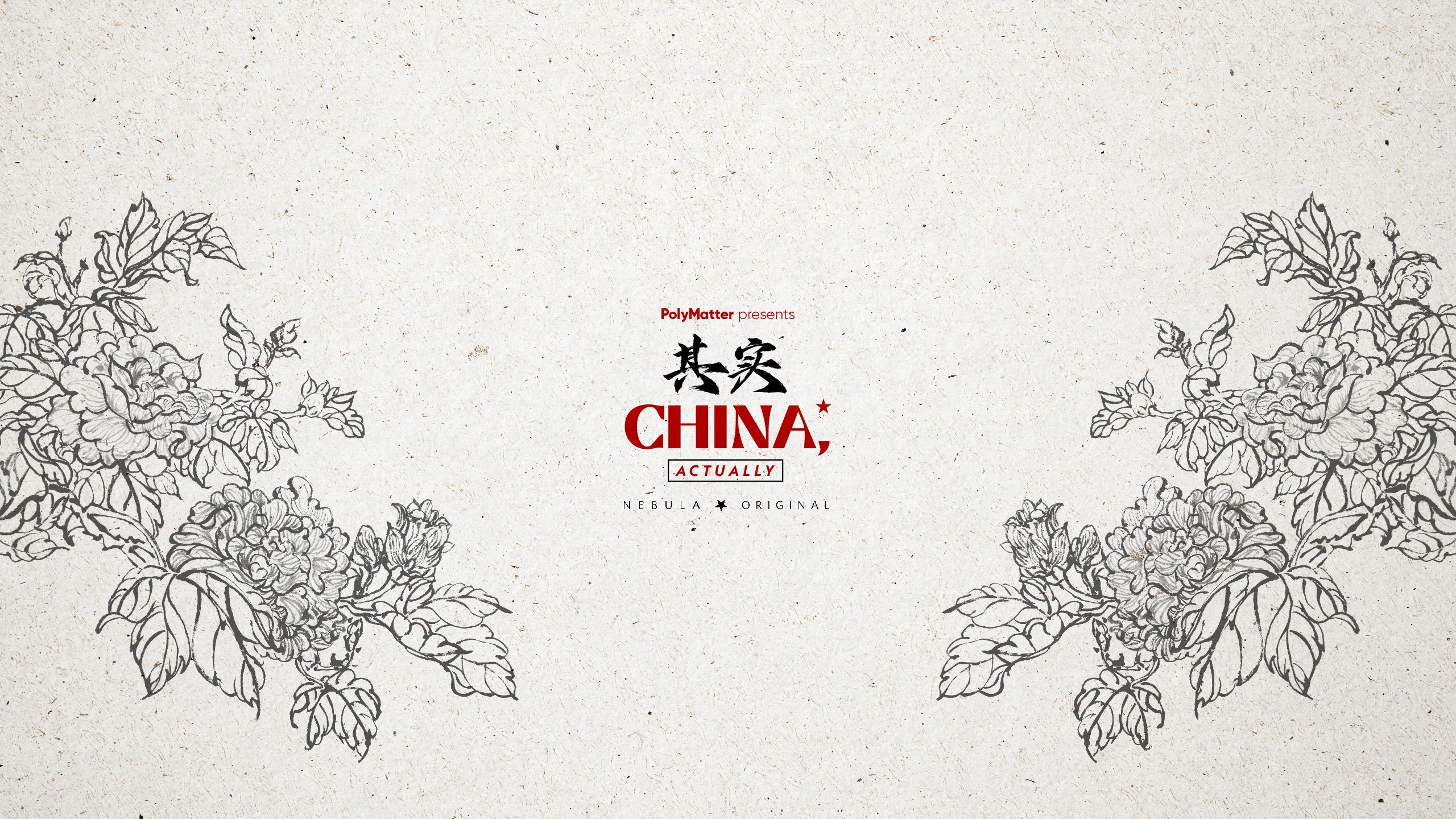 PolyMatter — China, Actually | Nebula