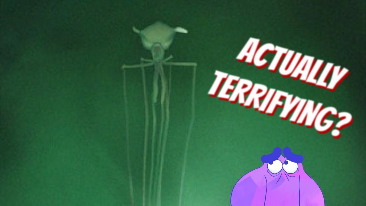 Just How Scary is the Deep-Sea Magnapinna Squid? | Alien Ocean | Nebula
