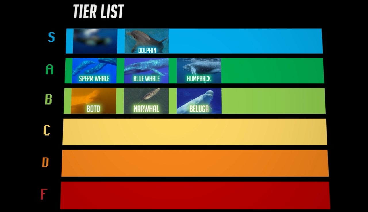 The Whale Tier List — TierZoo Remastered | Nebula