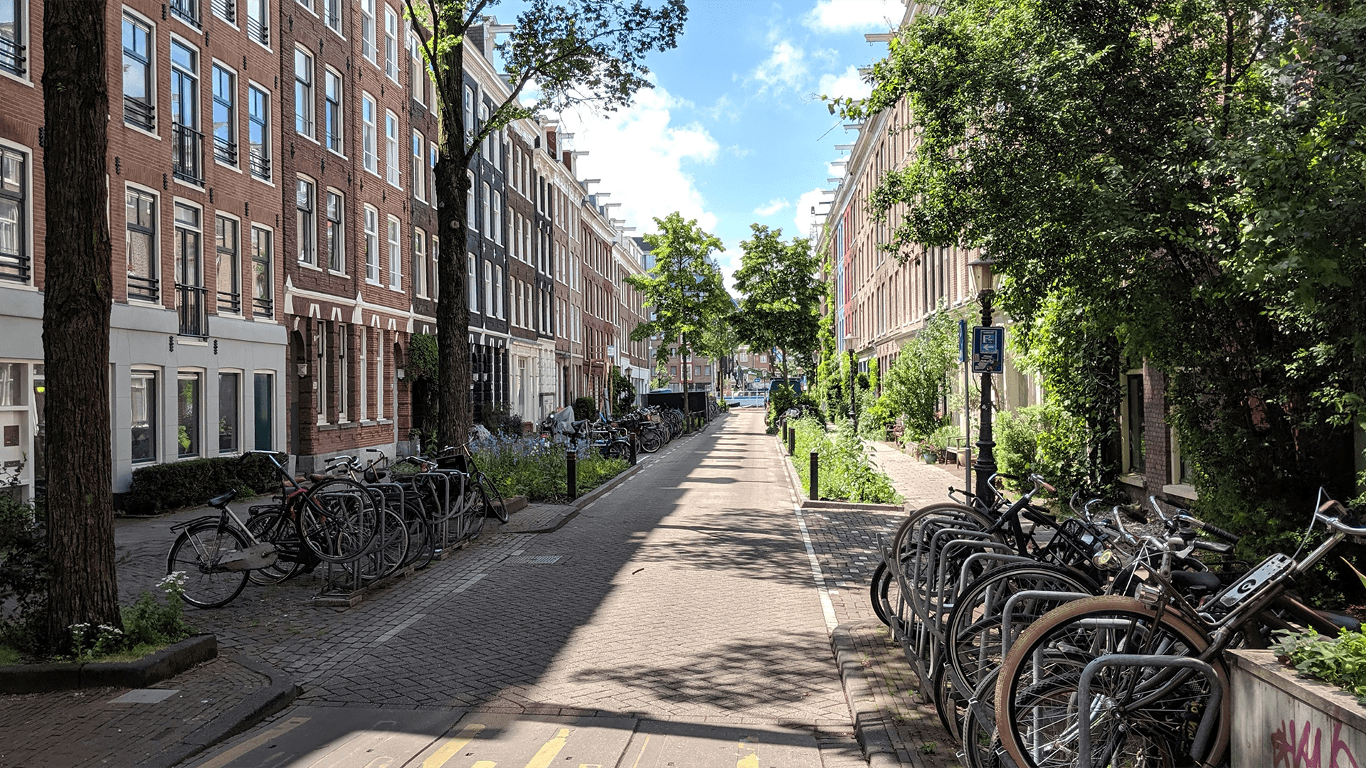 Not Just Bikes | Nebula