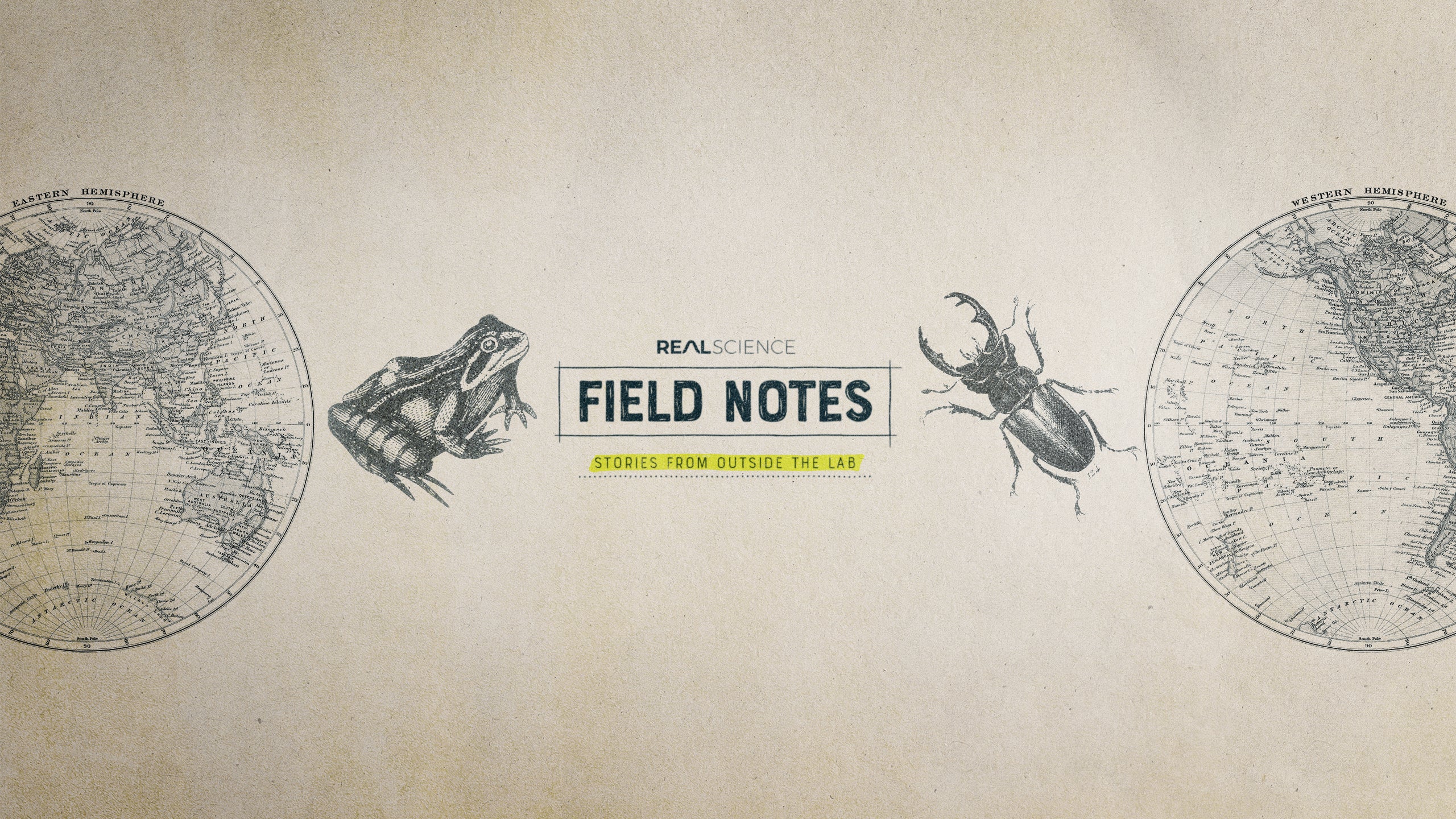 Field Notes | Nebula