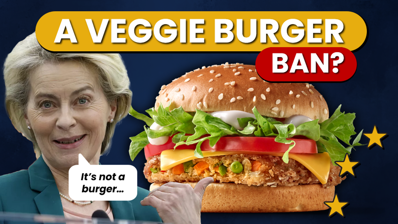 Will Europe BAN Veggie Burgers? | Nebula