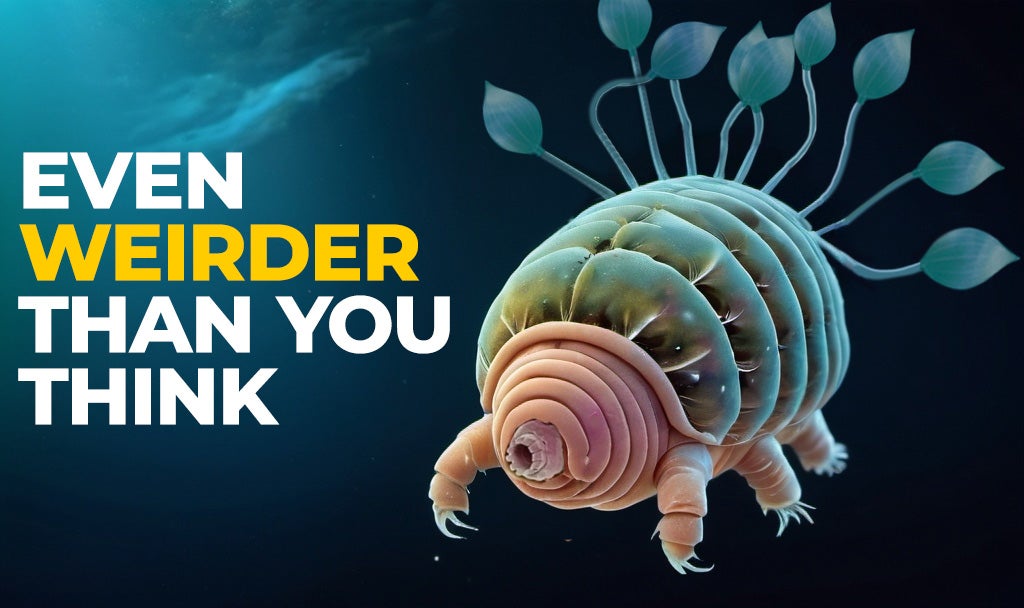 The Insane Biology of: The Tardigrade | Nebula